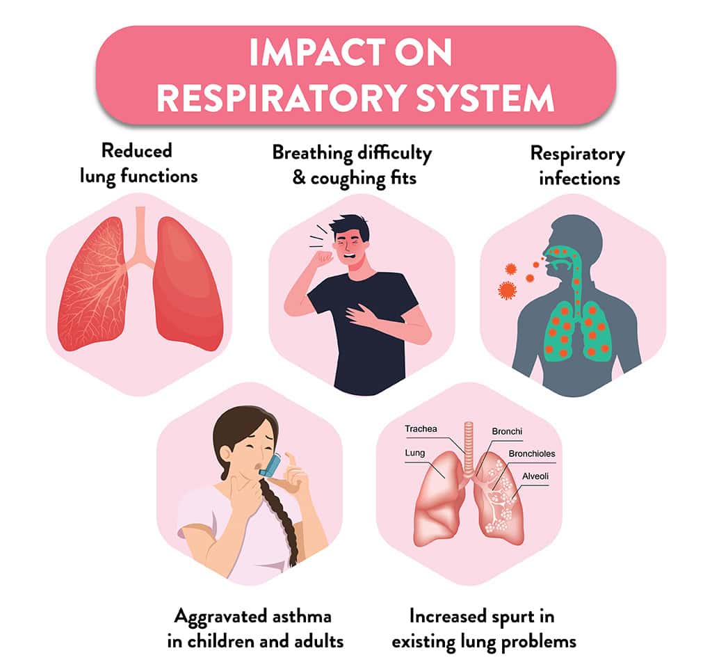 How to protect yourself from Air Pollution and reverse the effects | CK ...