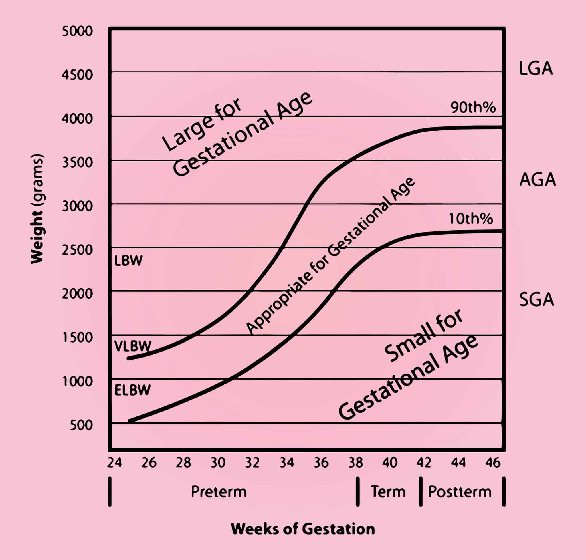 Understanding and Calculating Gestational Age | CK Birla Hospital