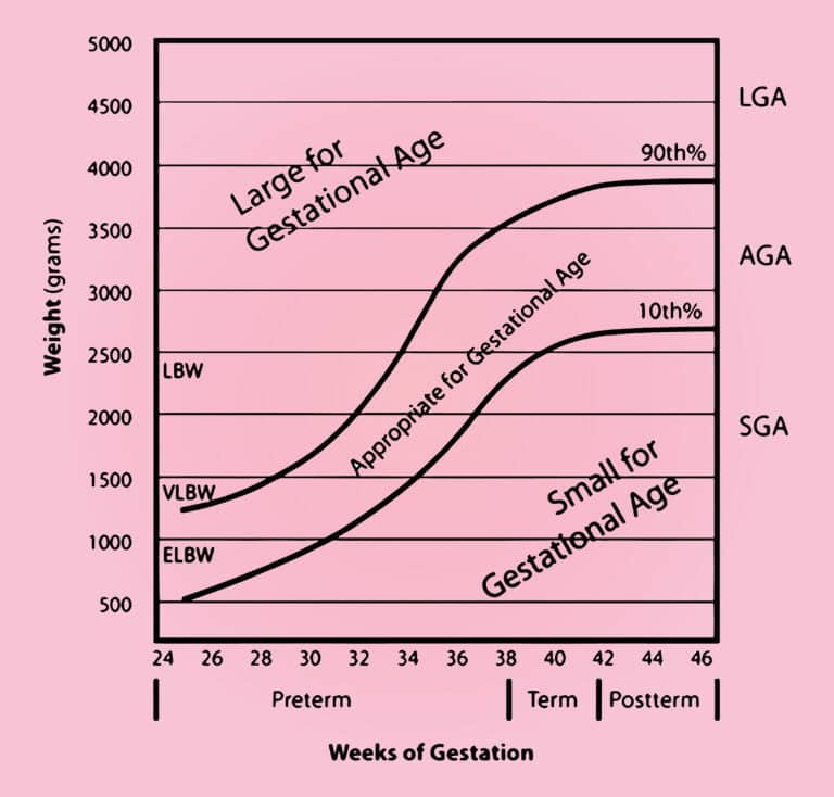 Understanding and Calculating Gestational Age | CK Birla Hospital